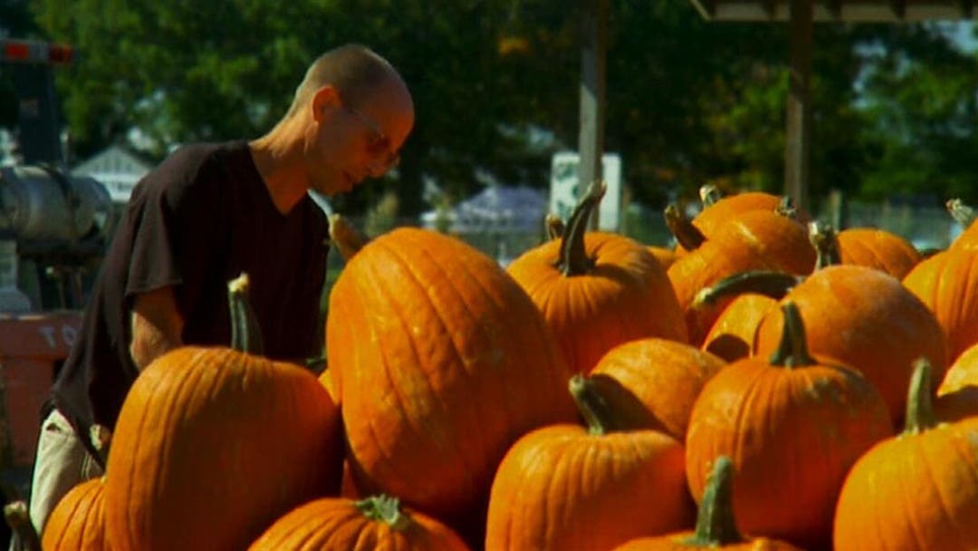 Halloween: Origins and Traditions | HISTORY