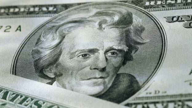 Life Size 20 Dollar Bill