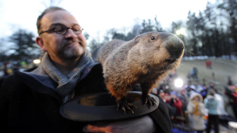 Groundhog Day History All About Groundhogs And A Brief History Of