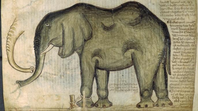 10 Famous Elephants From History | HISTORY