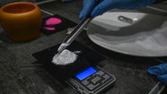 Cocaine Definition Crack Plant HISTORY