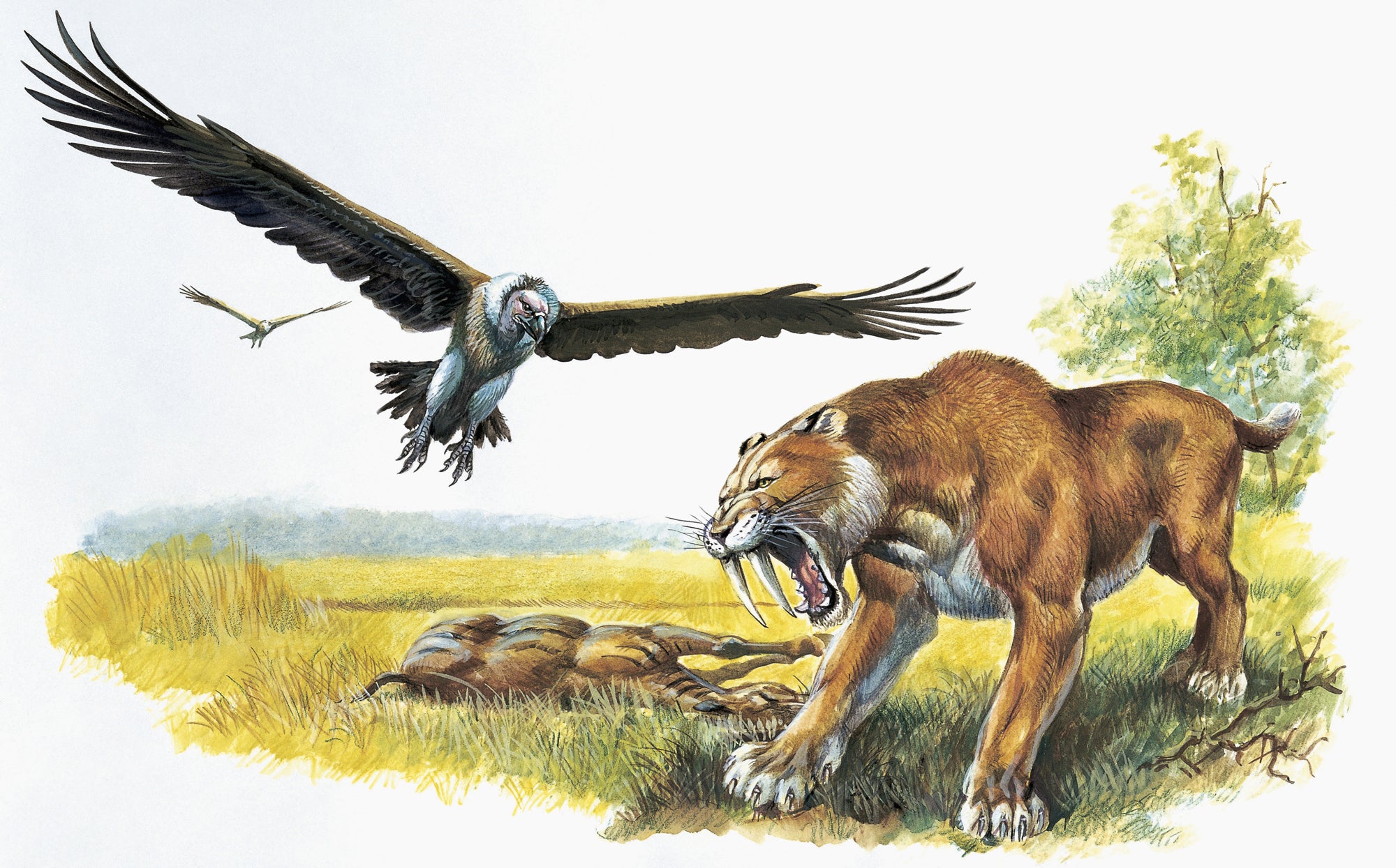 The Juicy History of Humans Eating Meat | HISTORY