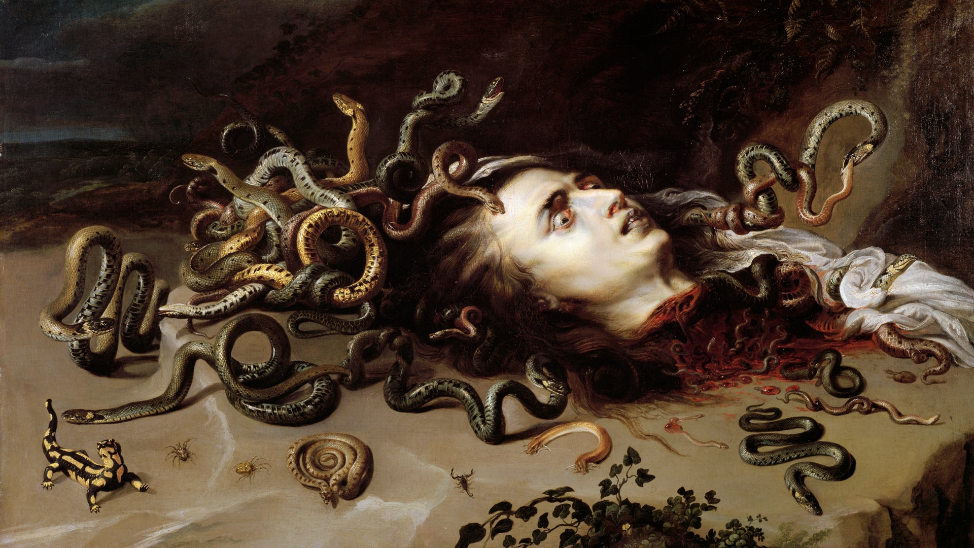 9 Powerful Snakes from History and Mythology | HISTORY