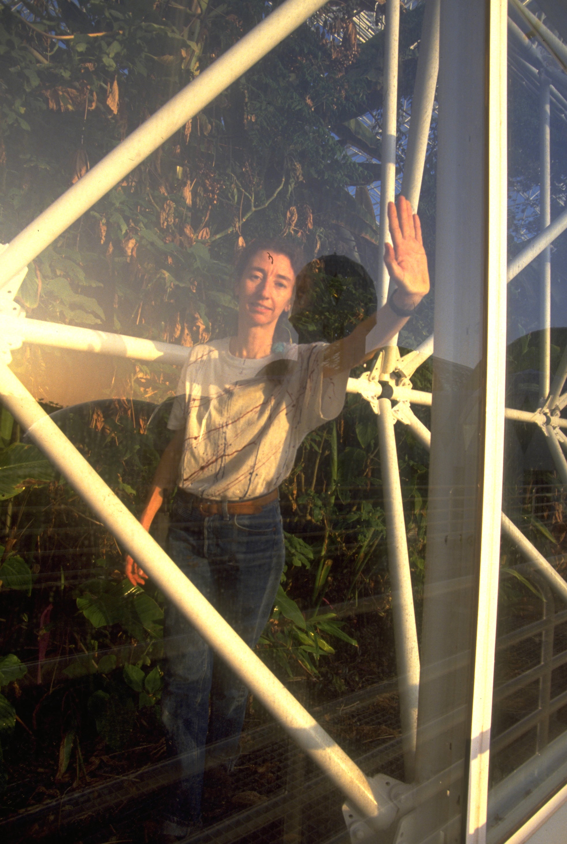 When Biosphere 2 Became a Grand Experiment in Self-Isolation | HISTORY
