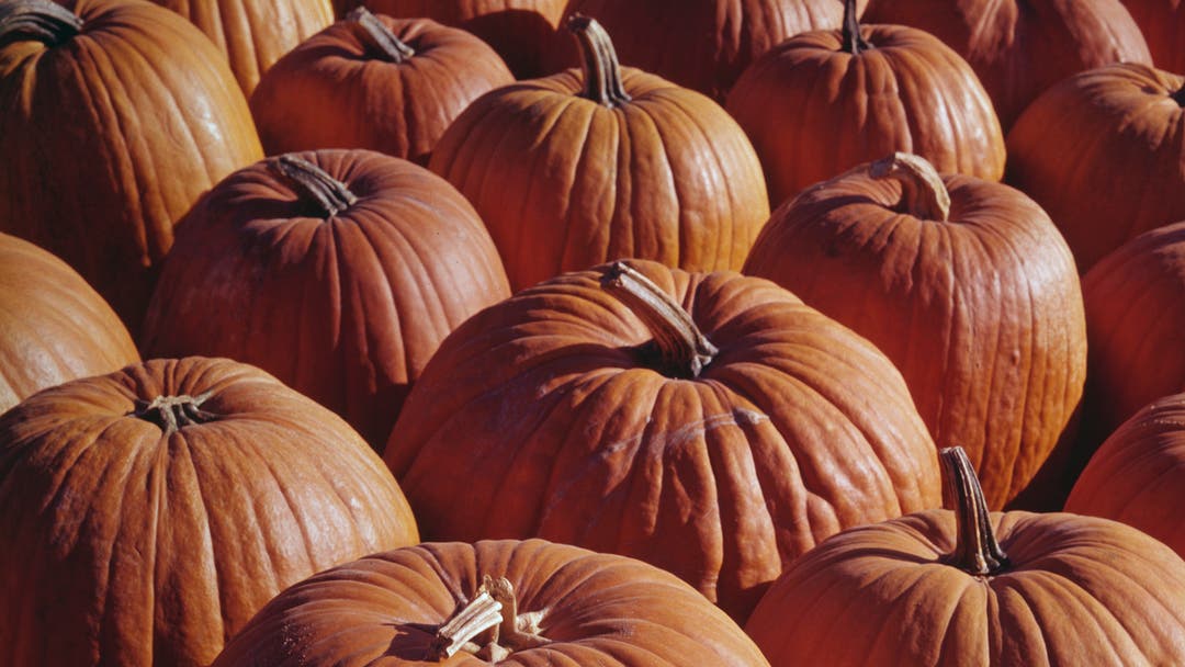 Halloween: Origins and Traditions | HISTORY