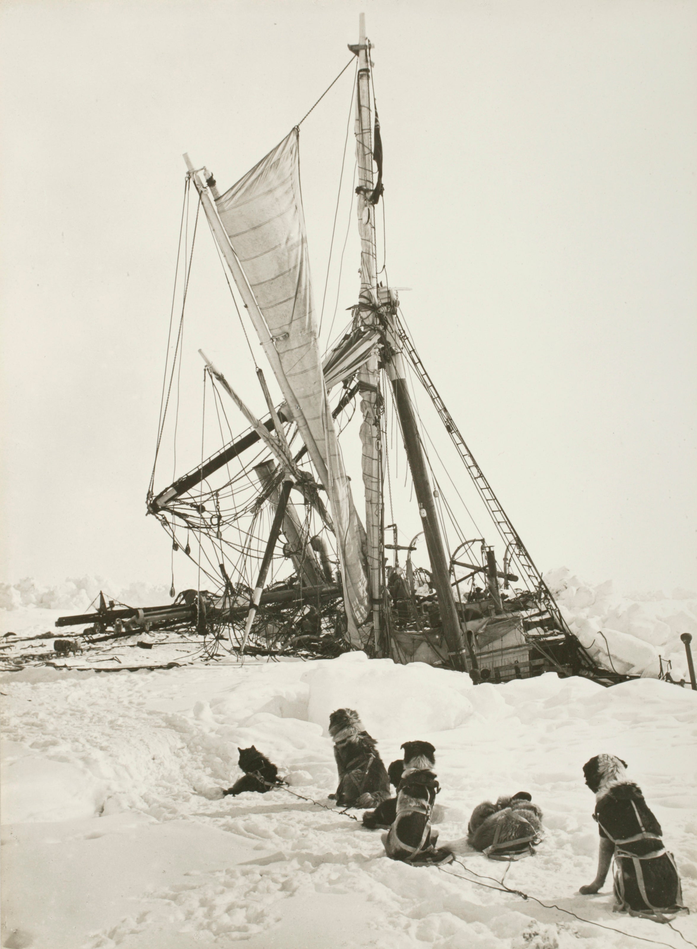 The Stunning Survival Story of Ernest Shackleton and His Endurance Crew ...