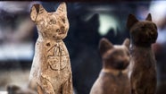How Cats Became Divine Symbols In Ancient Egypt HISTORY