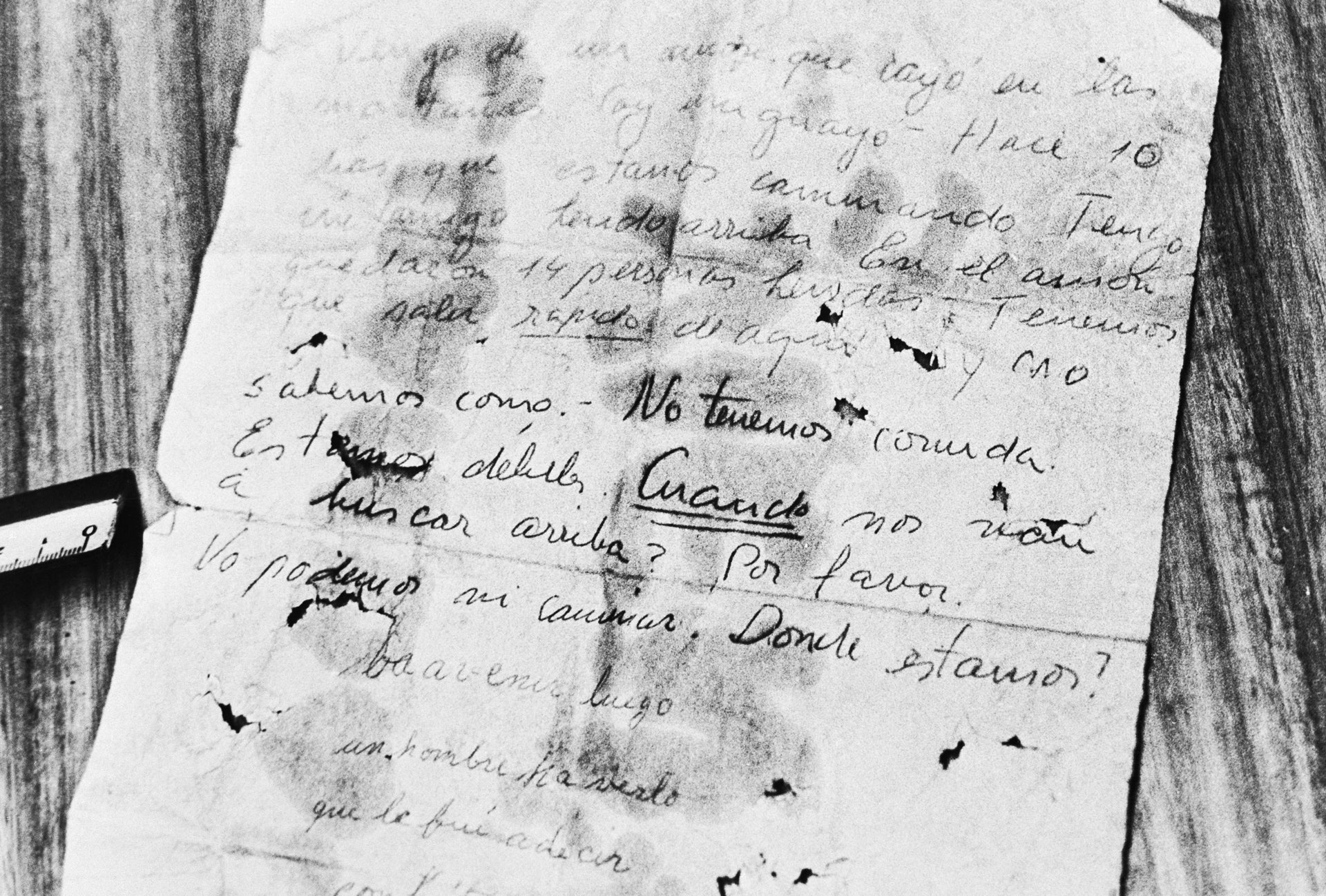 Miracle of the Andes: How Survivors of the Flight Disaster Struggled to ...