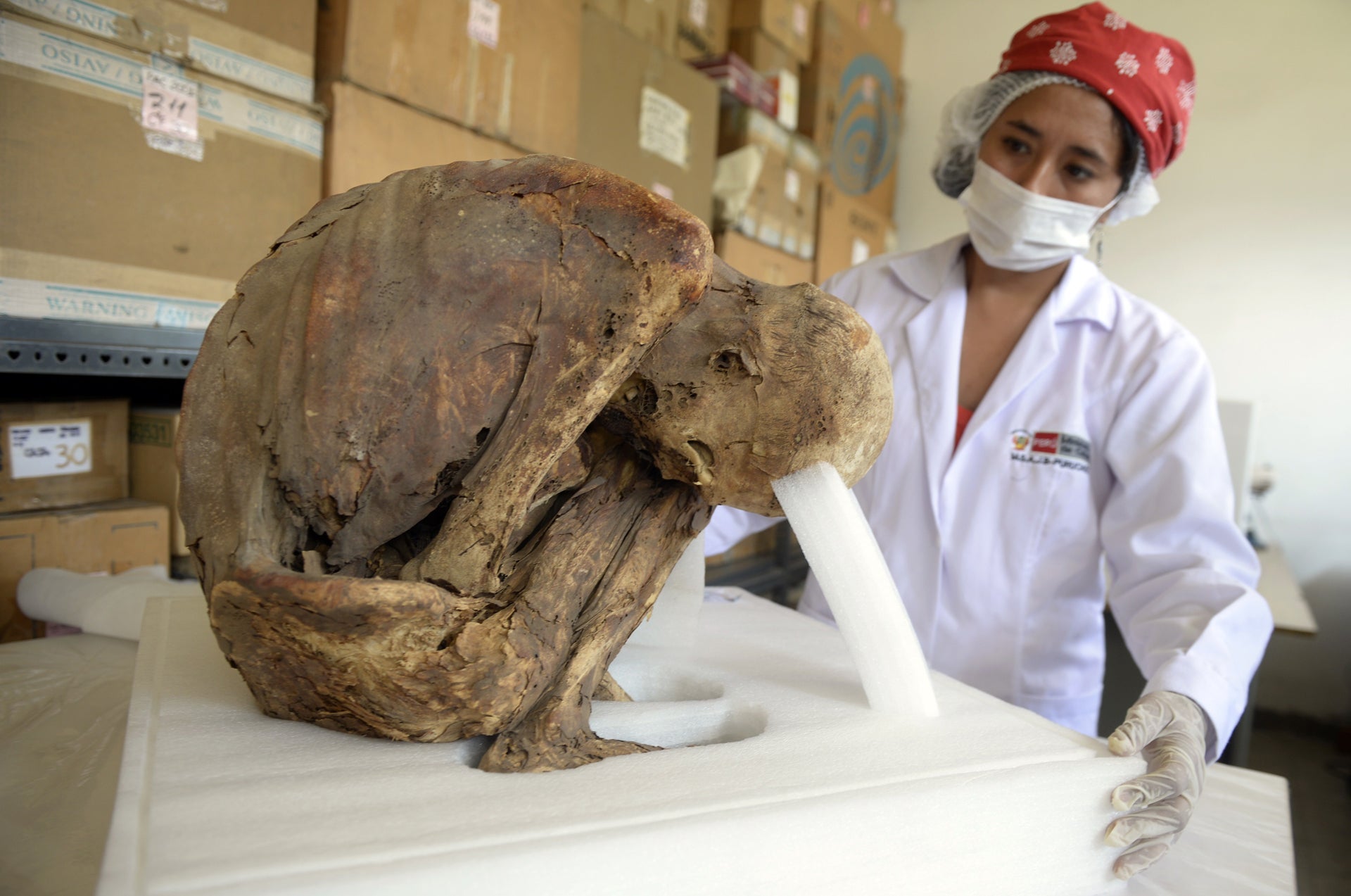 How Inca Mummies Ruled Over the Living | HISTORY