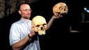 Middle Ages: Definition and Timeline (Video) | HISTORY