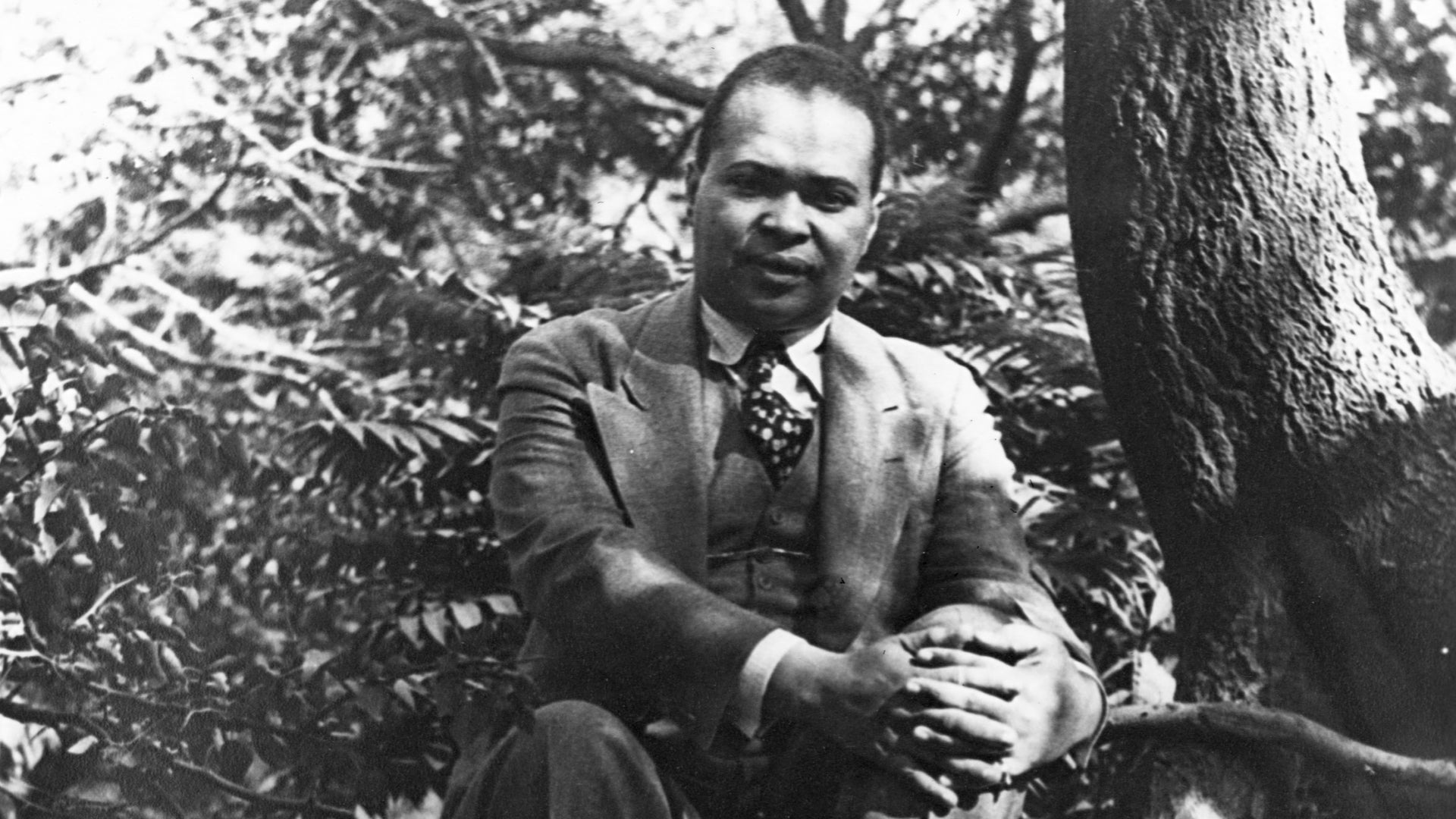 7 Writers of the Harlem Renaissance | HISTORY