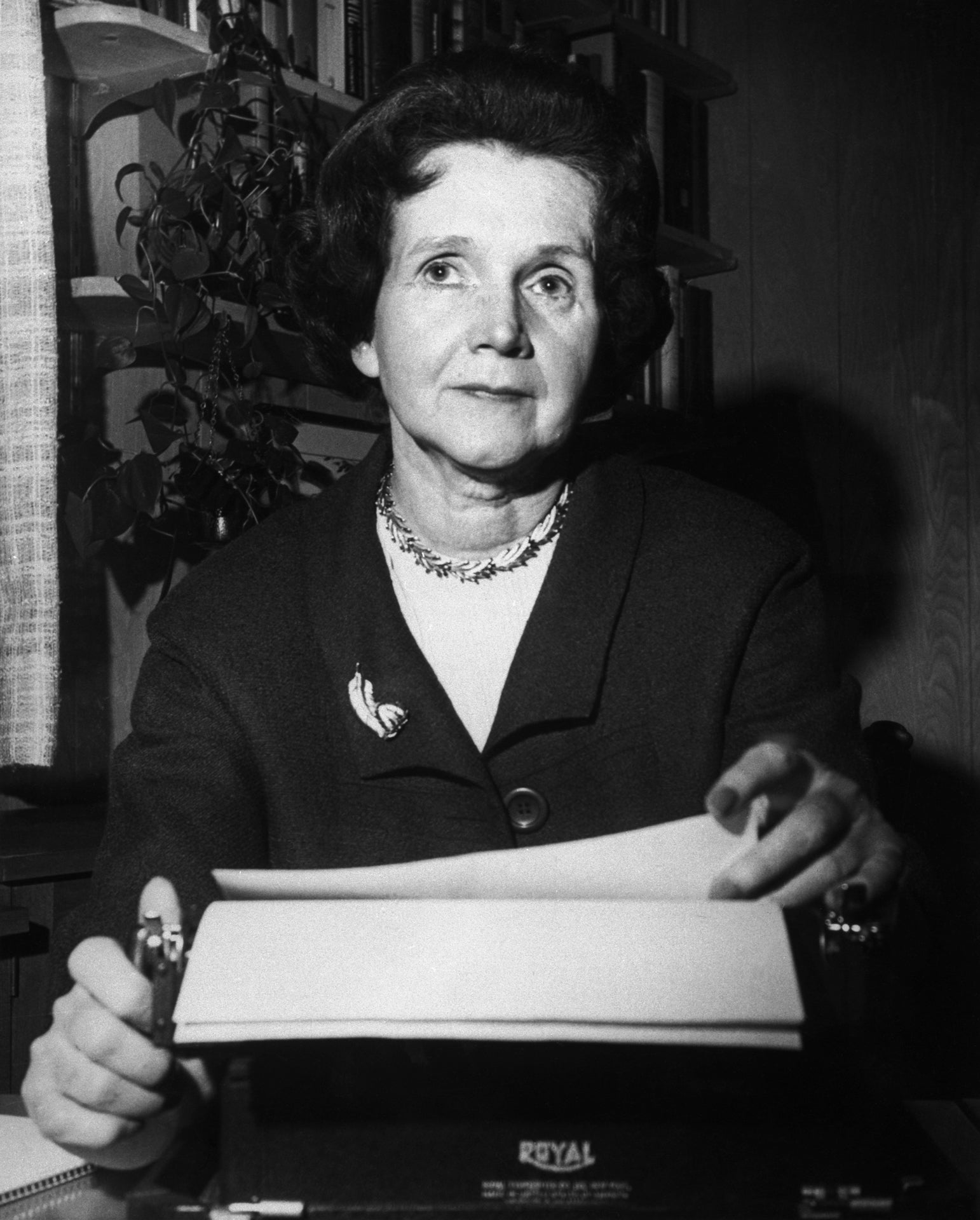 How Rachel Carson's 'Silent Spring' Awakened the World to Environmental ...