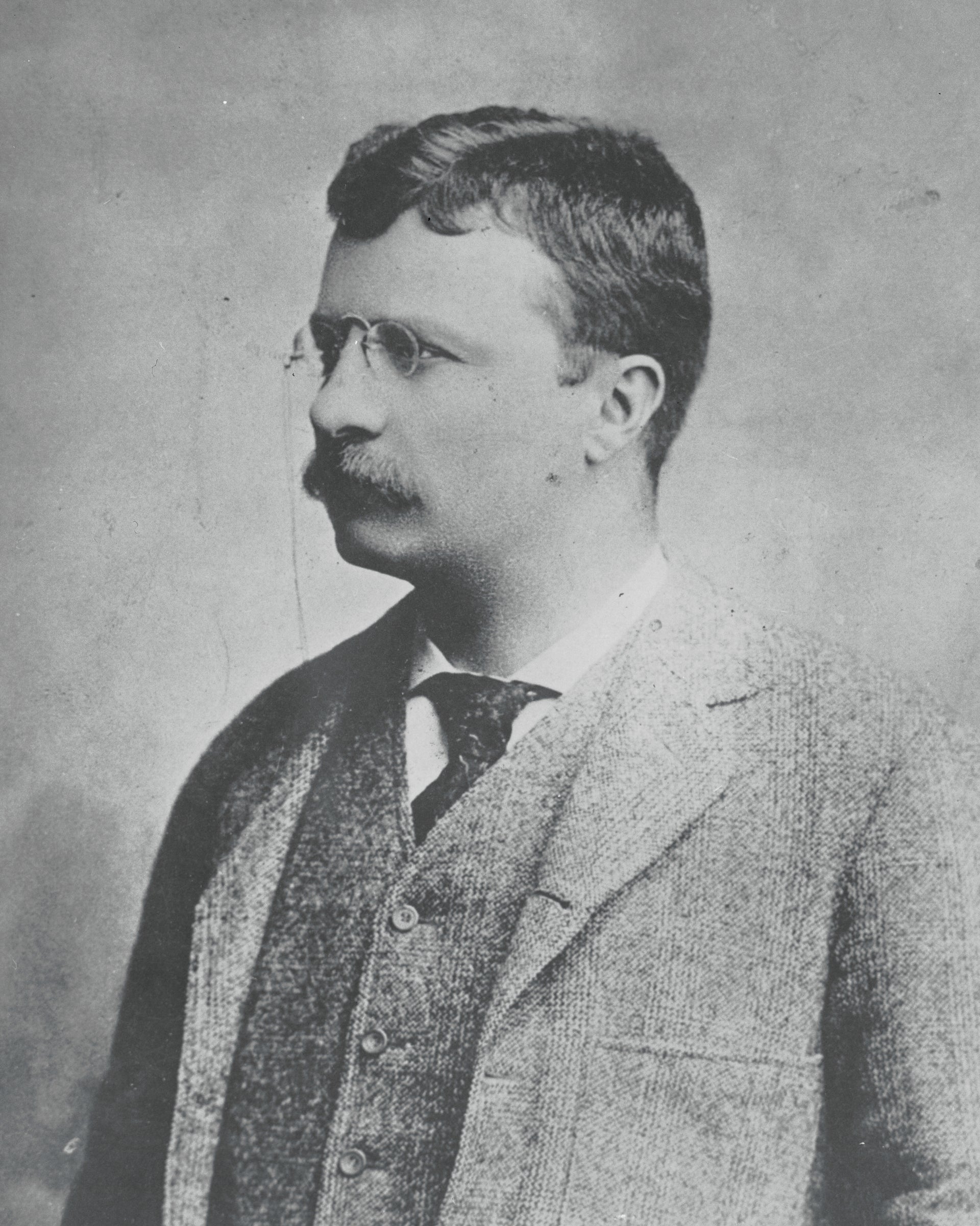 How Teddy Roosevelt Ascended in New York Politics | HISTORY