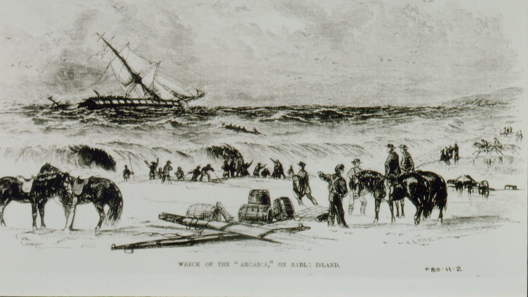 Exploration: Conquistadors and Explorers (Video) | HISTORY