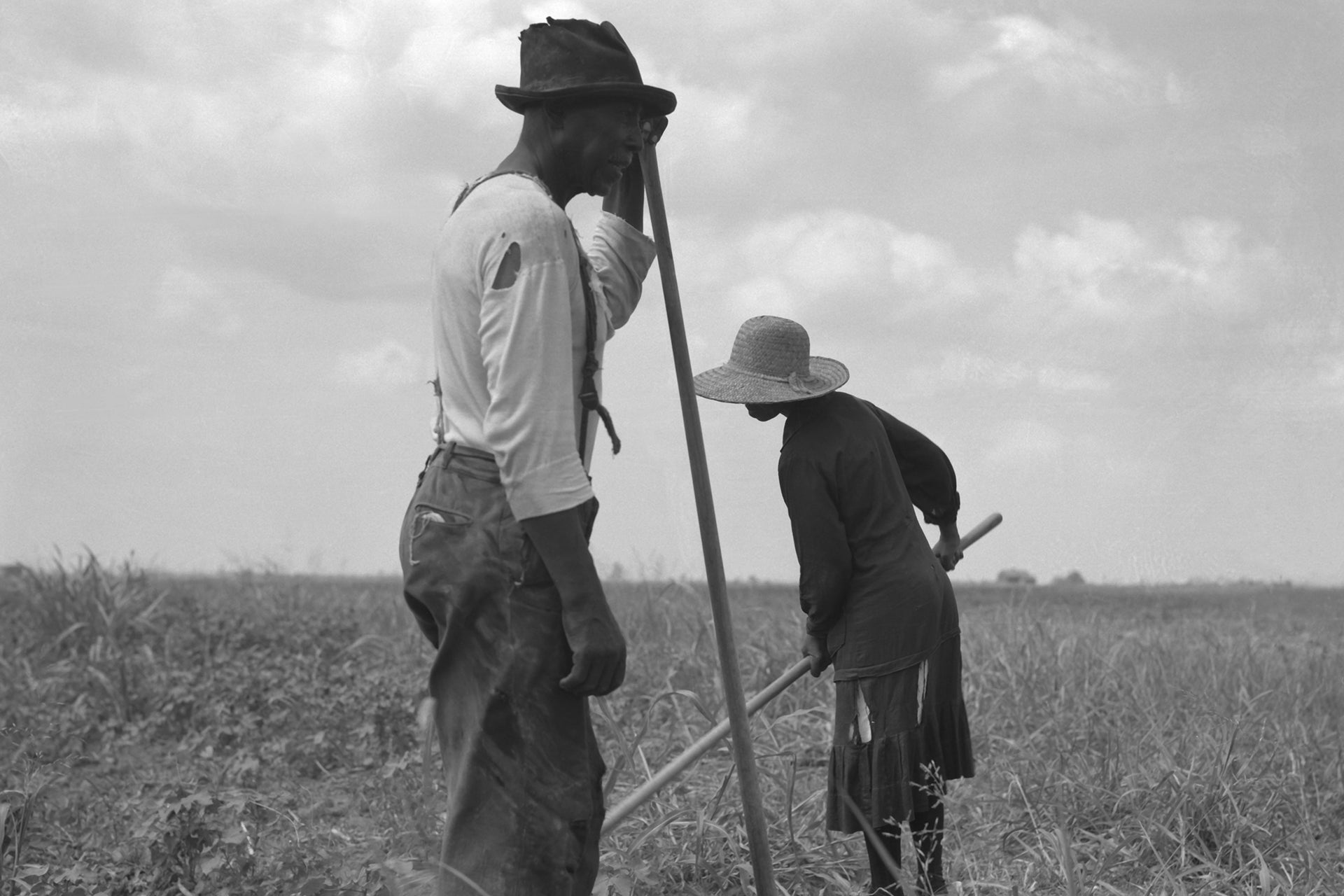 The Short-Lived Promise of '40 Acres and a Mule' | HISTORY