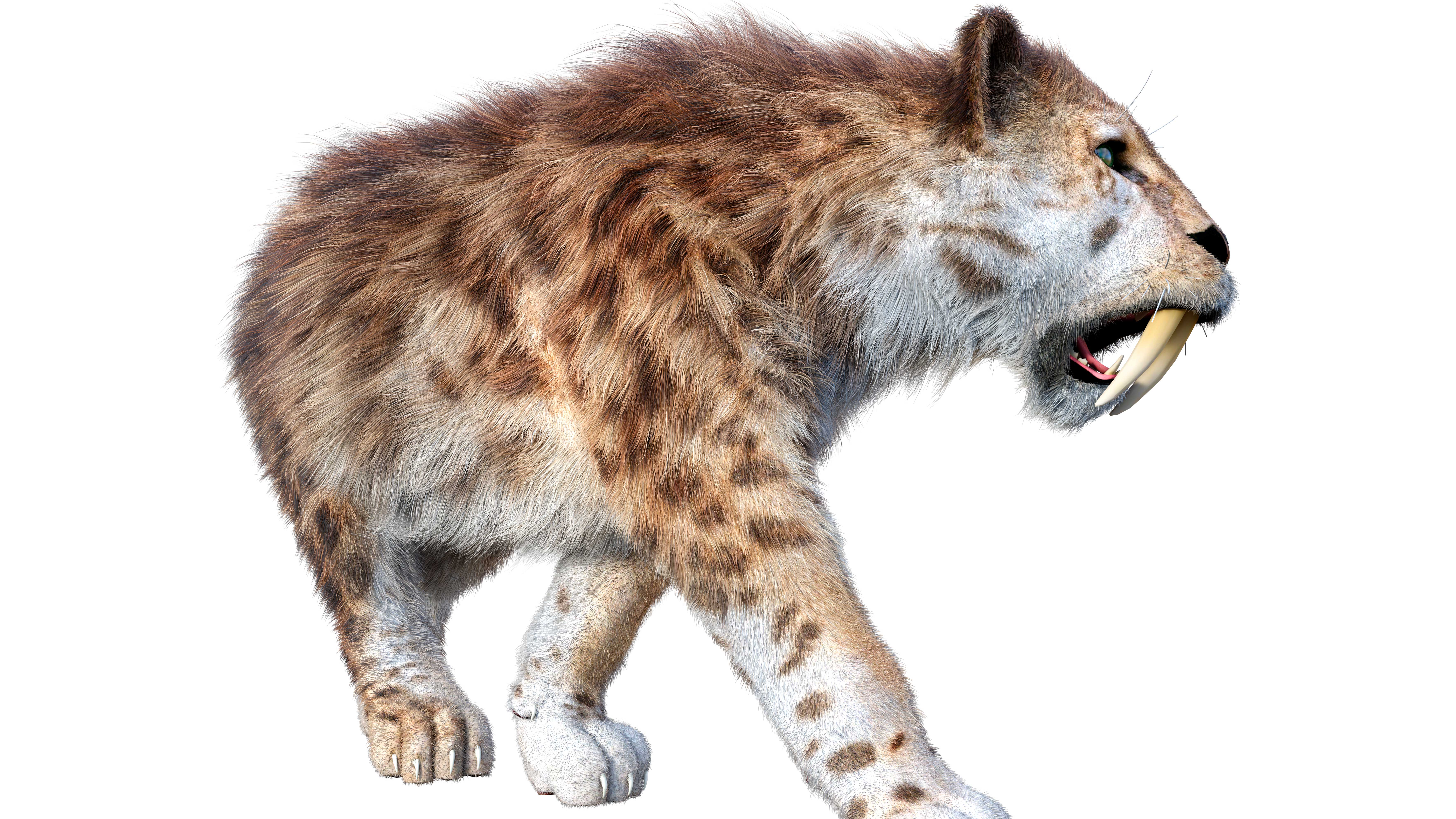 8 Massive Ice Age Animals That Roamed North America | HISTORY