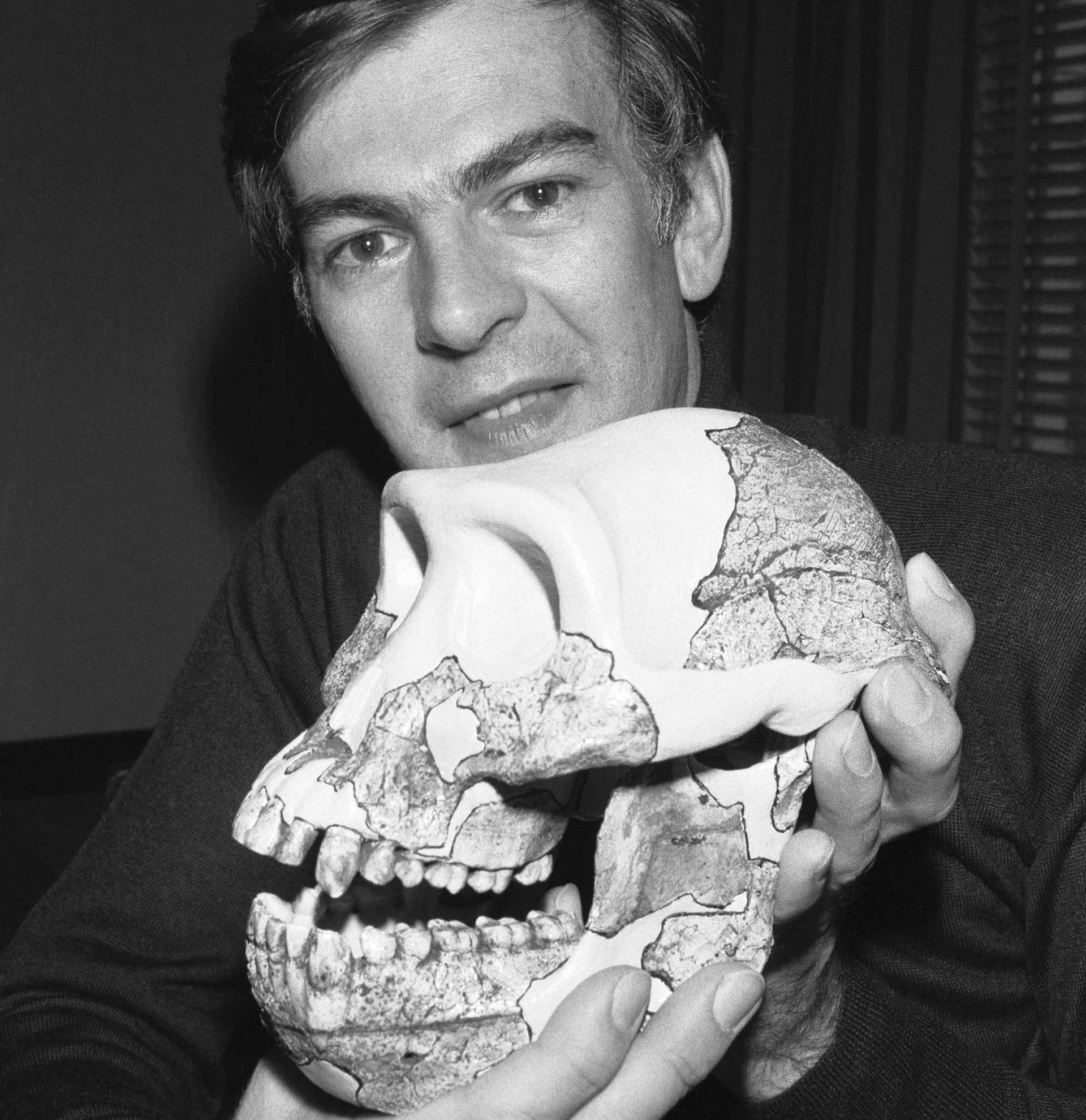 How the 'Lucy' Fossil Rewrote the Story of Human Evolution
